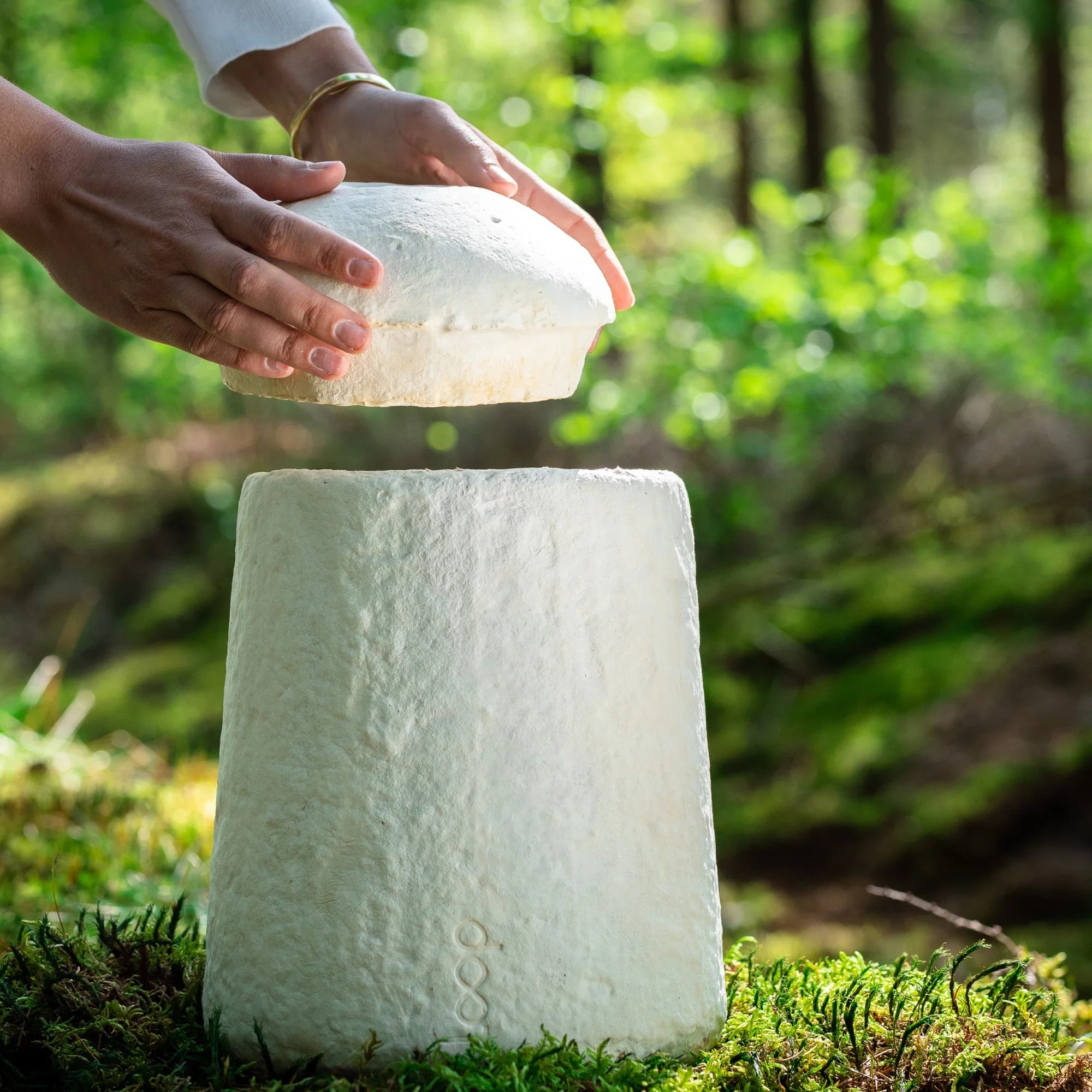 Loop EarthRise™ Mushroom Urn – Titan Casket