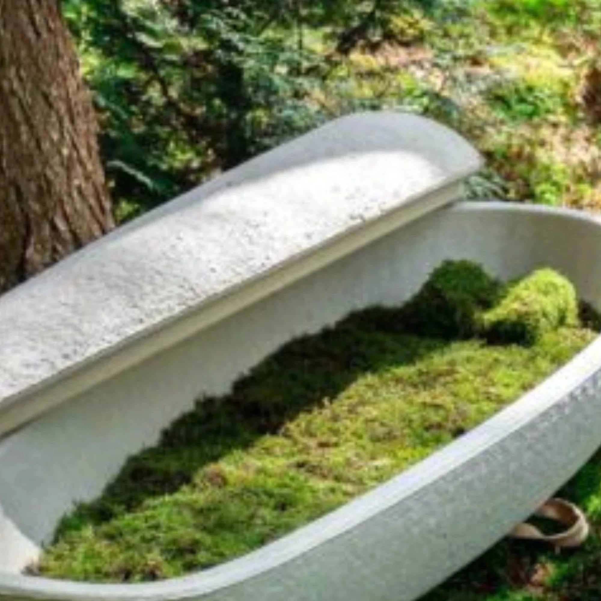 Loop Living Cocoon™ Mushroom Casket – Titan Casket