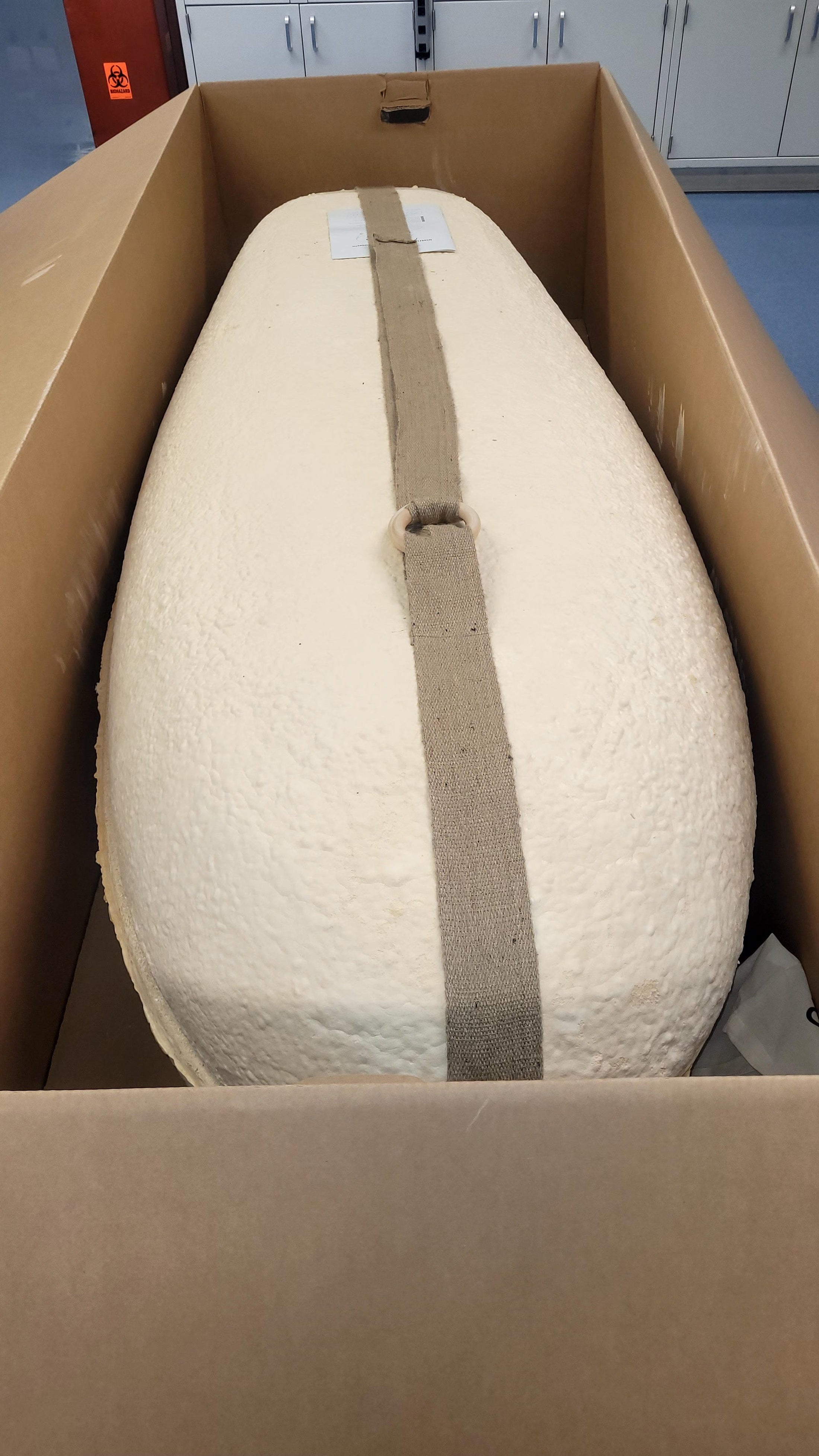 Loop Living Cocoon™ (White Mushroom Casket) | Eco-Friendly Casket ...