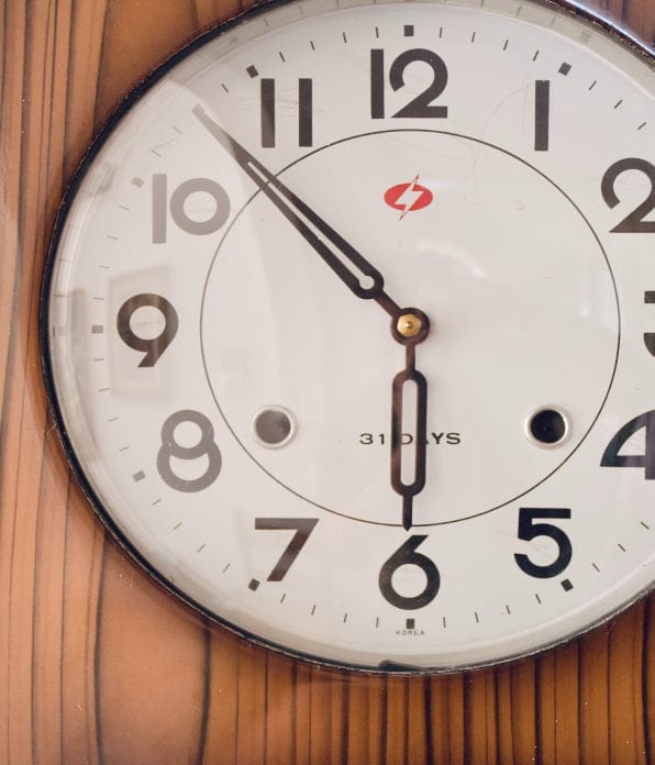 Eco Friendly Tree Urn - The Living Urn | Become a Tree after Death – Titan Casket