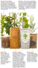 Eco Friendly Pet Tree Urn - The Living Urn | Become a Tree after Death – Titan Casket